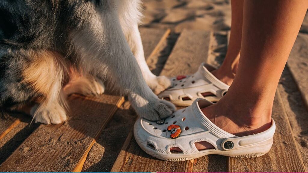 Crocs lanza "Pet Crocs", la nueva colección de calzado para perros