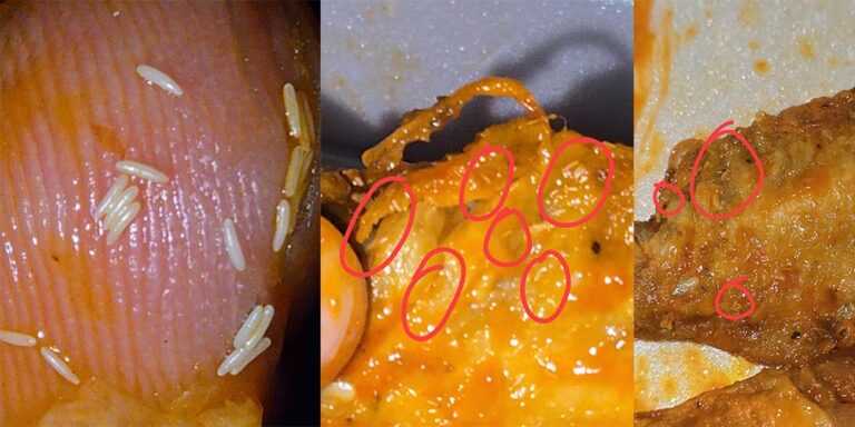 Restaurante de Matehuala vende pollo con gusanos; denuncian